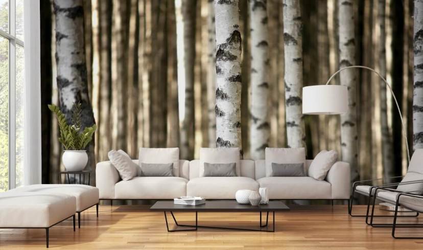 Birch Tree Wallpaper & Wall Murals | Wallsauce US