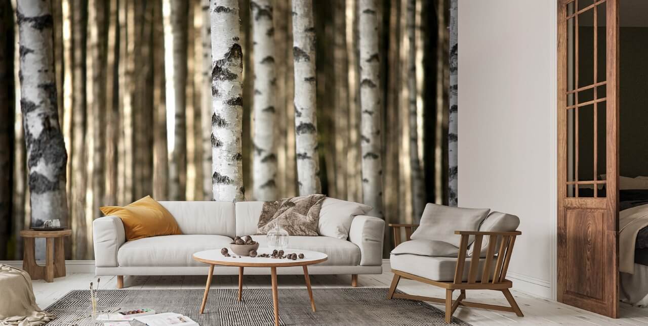 Birch Trees Behang | Wallsauce NL
