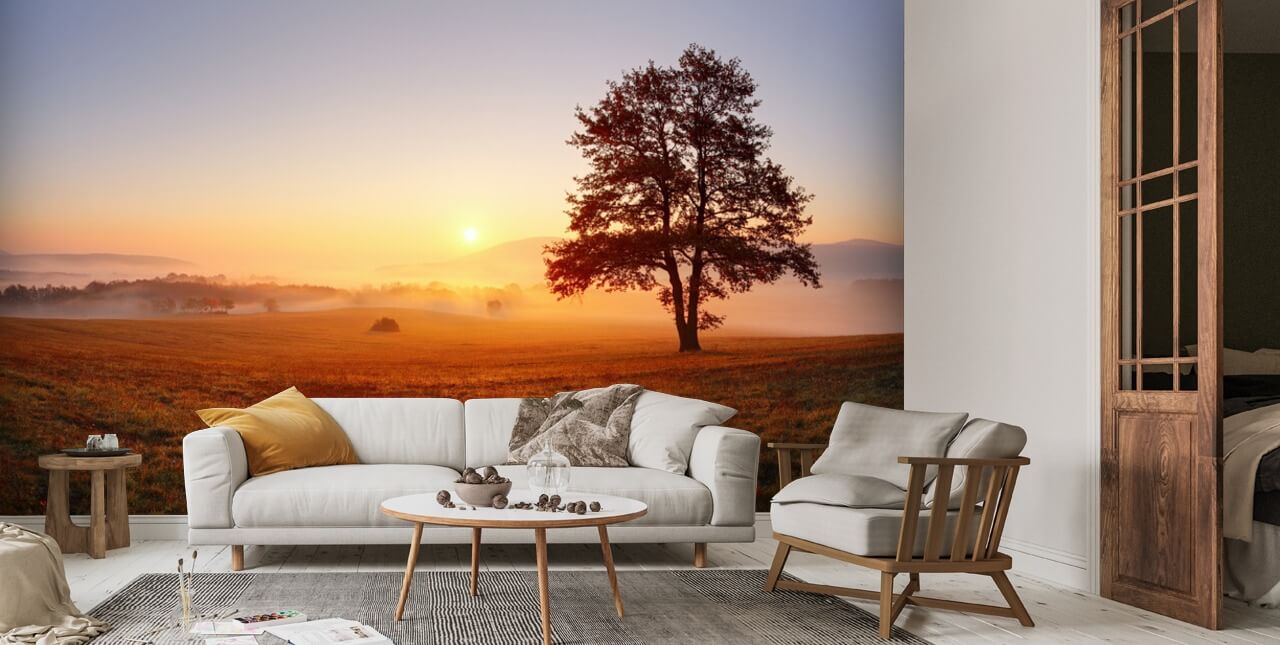 Meadow Sunset Wall Mural | Wallsauce US