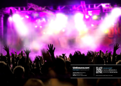 Music Concert Wallpaper | Wallsauce US