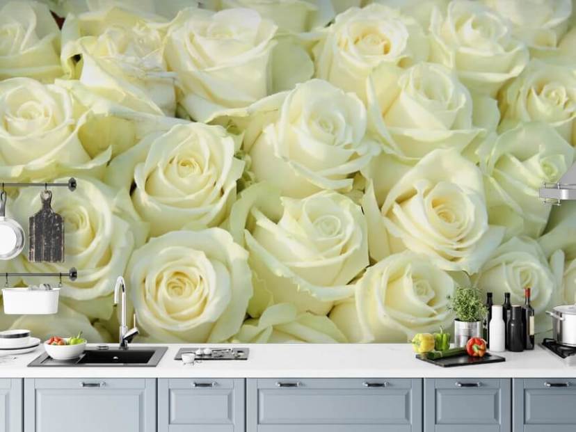 Rose Wallpaper & Wall Murals | Wallsauce UK