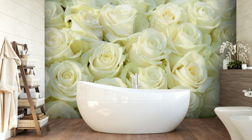 Rose Wallpaper & Wall Murals | Wallsauce UK