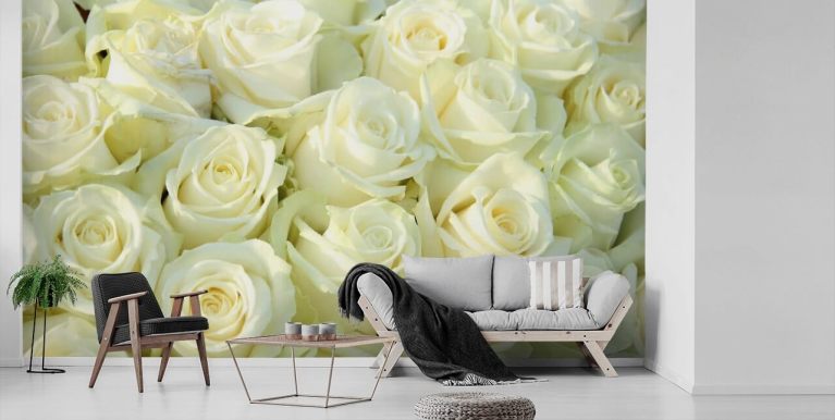 Rose Wallpaper & Wall Murals | Wallsauce UK