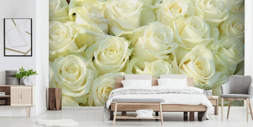 Rose Wallpaper & Wall Murals | Wallsauce UK