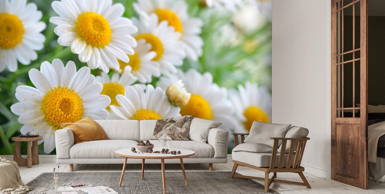 Daisy Fields Wallpaper | Wallsauce US