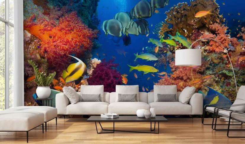 Fish Wallpaper & Tropical Fish Murals | Wallsauce NZ