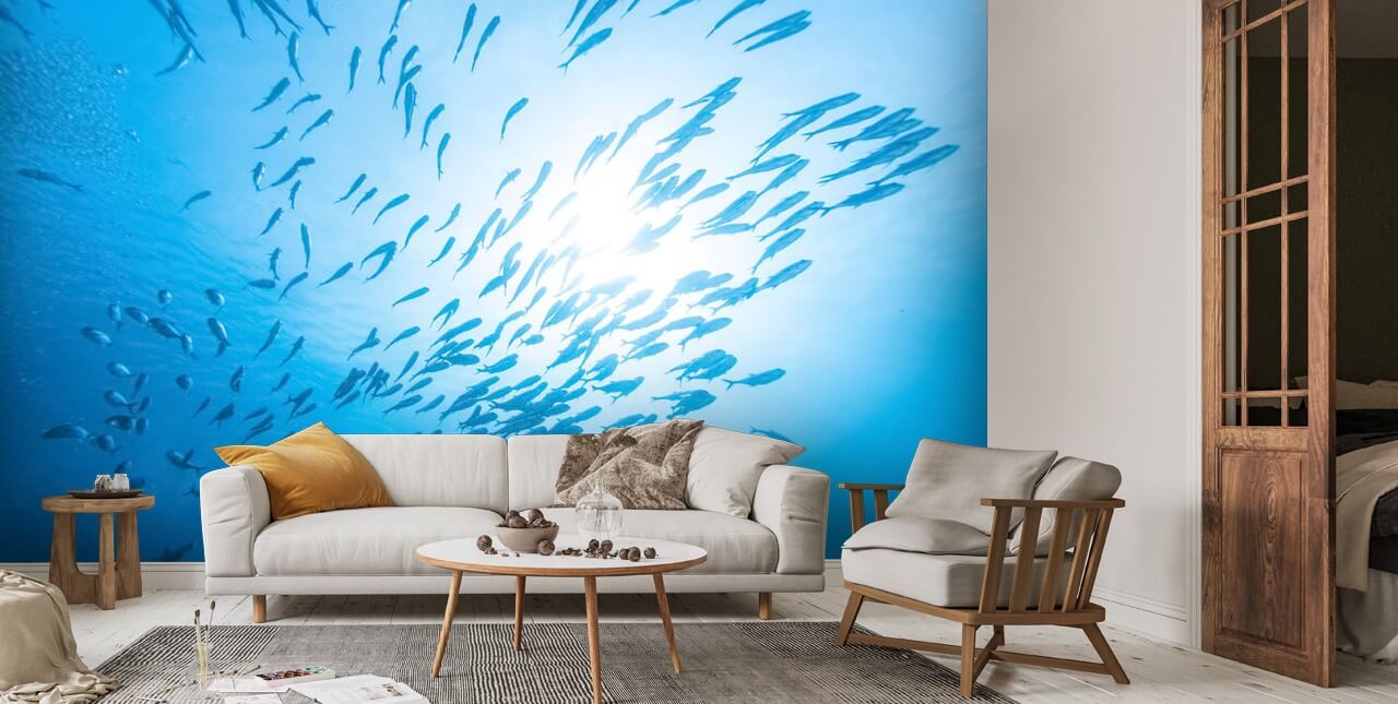 Carta da parati Jack Fish | Wallsauce IT