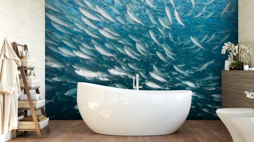 Fish Wallpaper & Sea Life Wall Murals | Wallsauce EU
