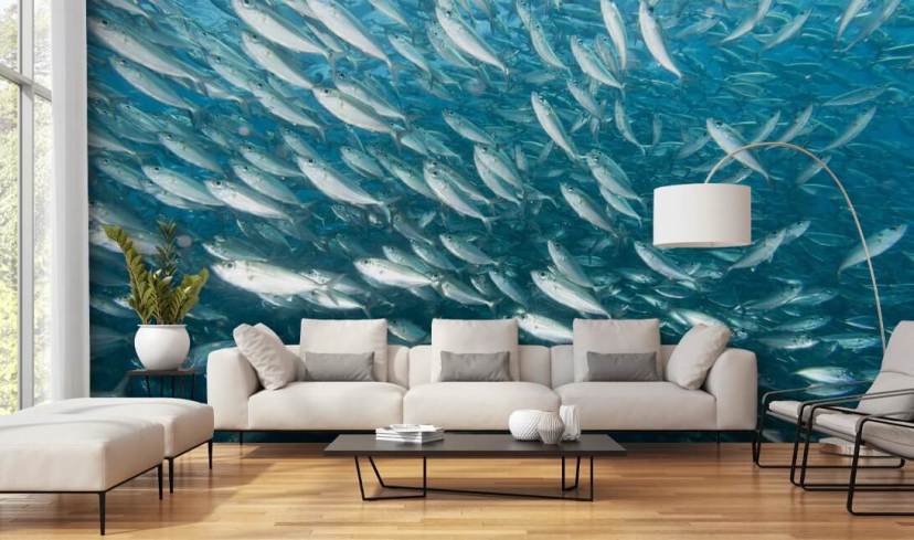 Fish Wallpaper and Sea Life Wall Murals | Wallsauce EU