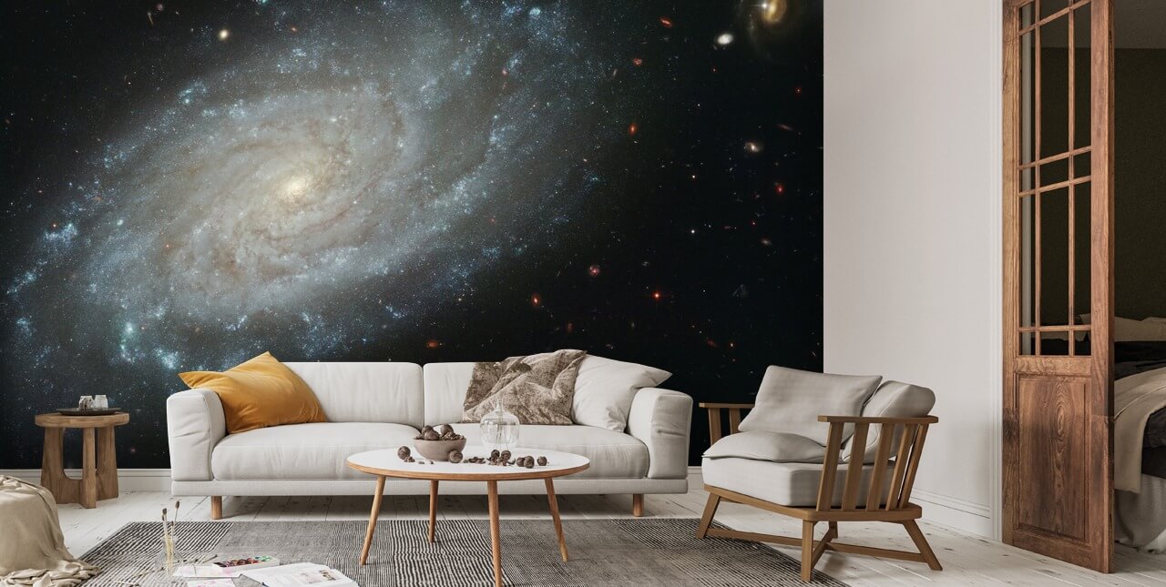 Spiral Galaxy NGC 3370, hogar de una supernova vista en 1994 Impresión ...