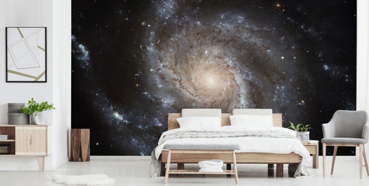 NASA Wallpaper - Official from Nasa | Wallsauce UK