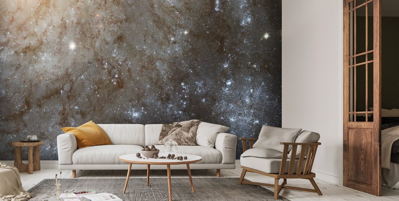 A Detailed Look at Spiral Galaxy M101 Wallpaper | Wallsauce US