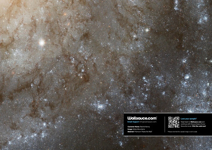 A Detailed Look at Spiral Galaxy M101 Wallpaper | Wallsauce US