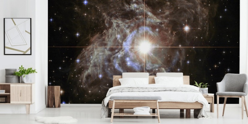 NASA Wallpaper - Official from Nasa | Wallsauce US