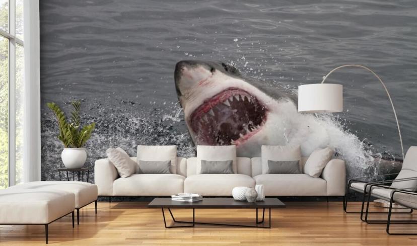 Shark Wallpaper & Wall Murals | Wallsauce US