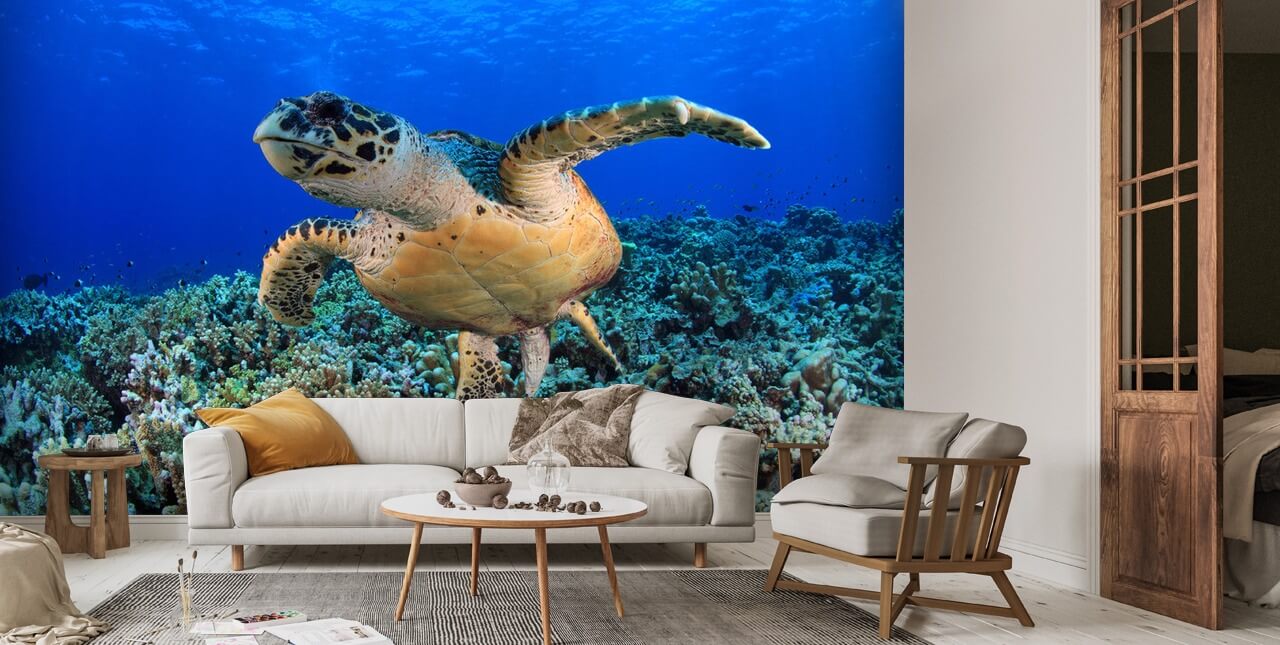 Sea Turtle in Tropical Waters Wallpaper | Wallsauce US