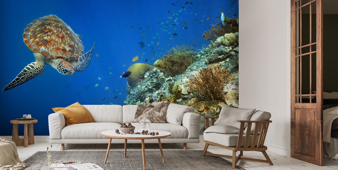 Graceful Sea Turtle Wall Mural | Wallsauce US