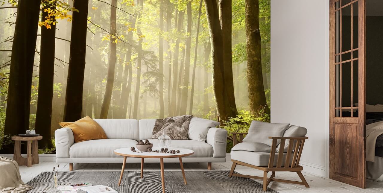 Forest Pathway Wallpaper | Wallsauce US