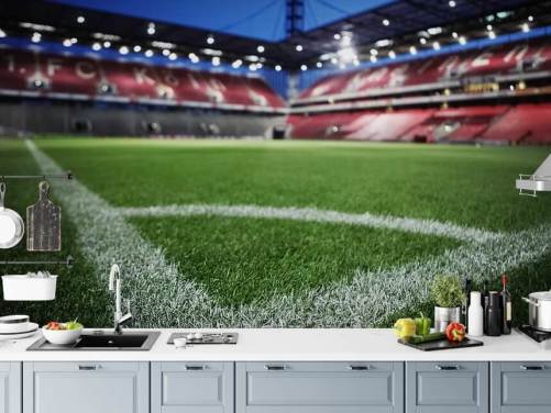 Football Wallpaper & Soccer Wall Murals | Wallsauce US