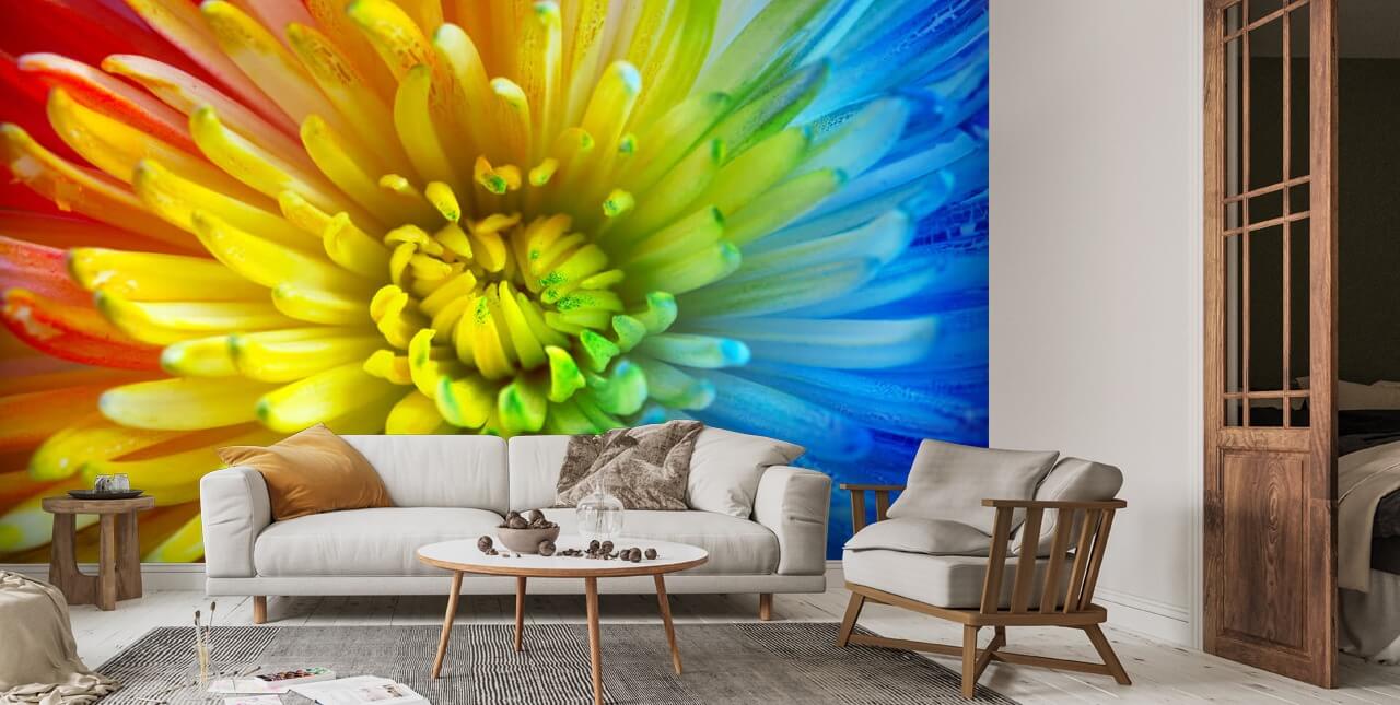 Rainbow Flower Wallpaper Mural | Wallsauce UK