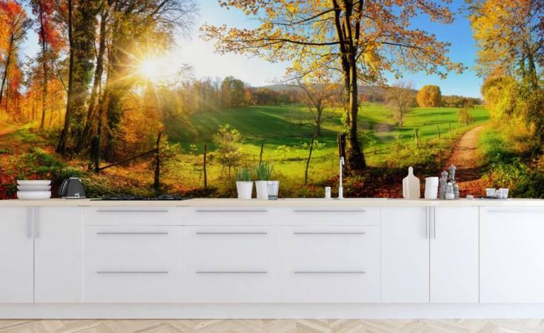 Panoramic Wallpaper - Panoramic Wall Murals | Wallsauce US