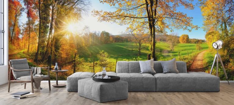 Panoramic Wallpaper - Panoramic Wall Murals | Wallsauce US