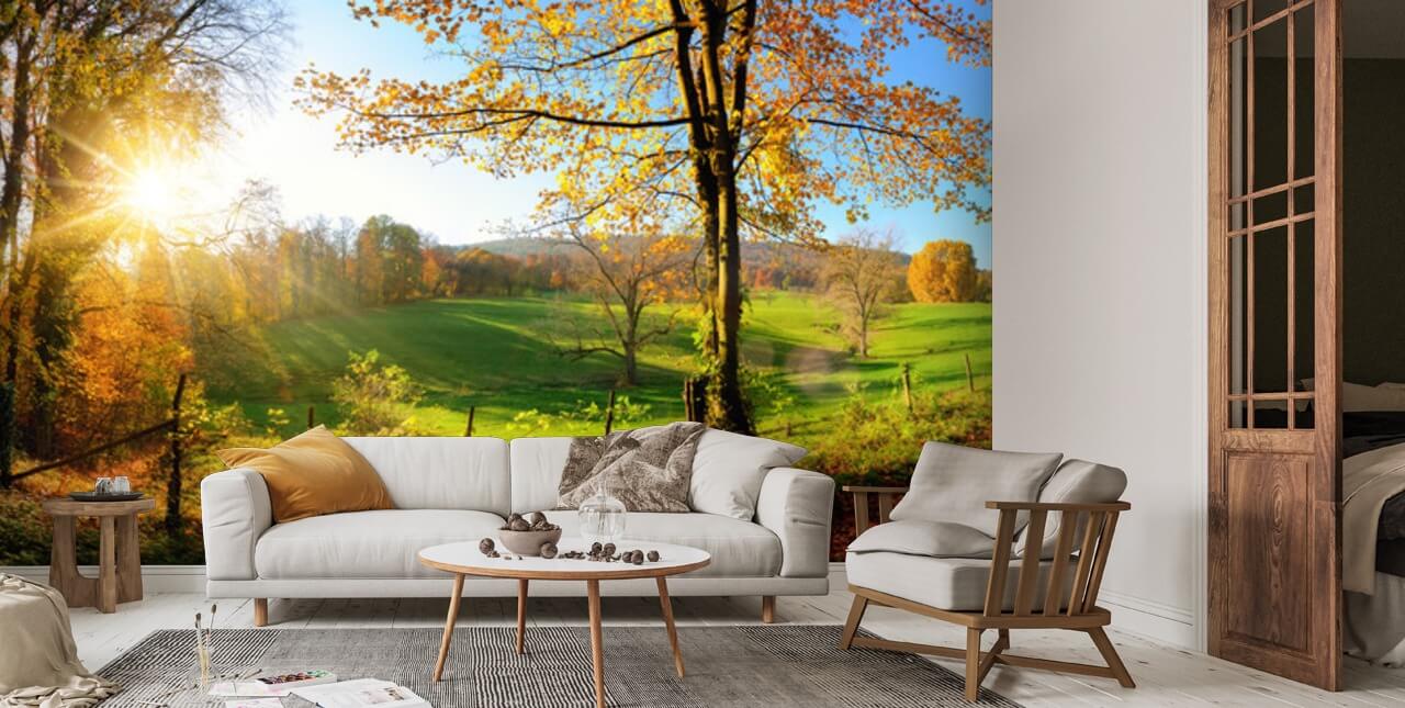 Autumn Pathways Wallpaper Mural | Wallsauce US