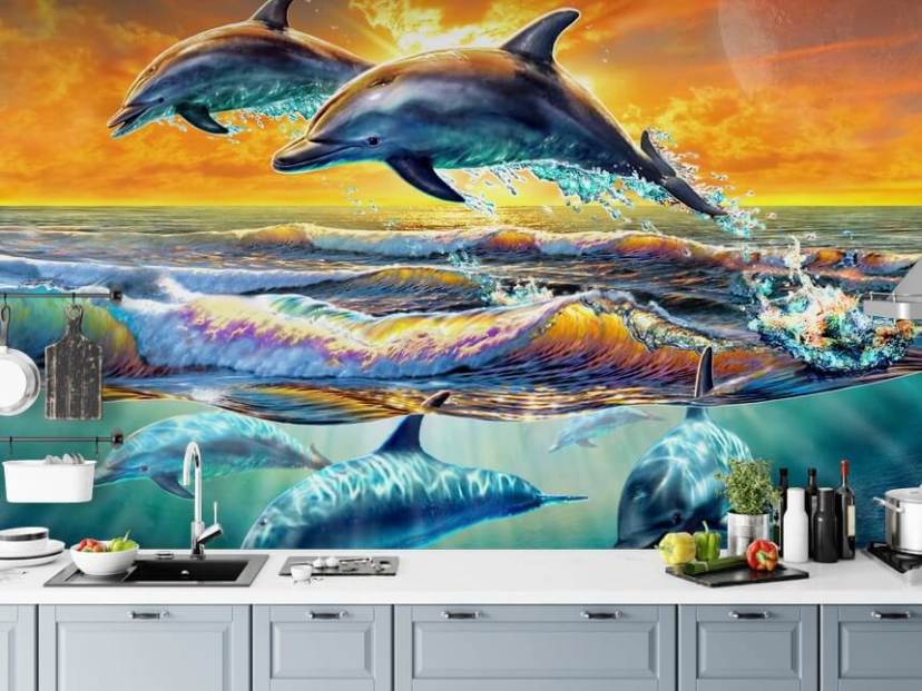 Dolphin Screensavers And Backgrounds
