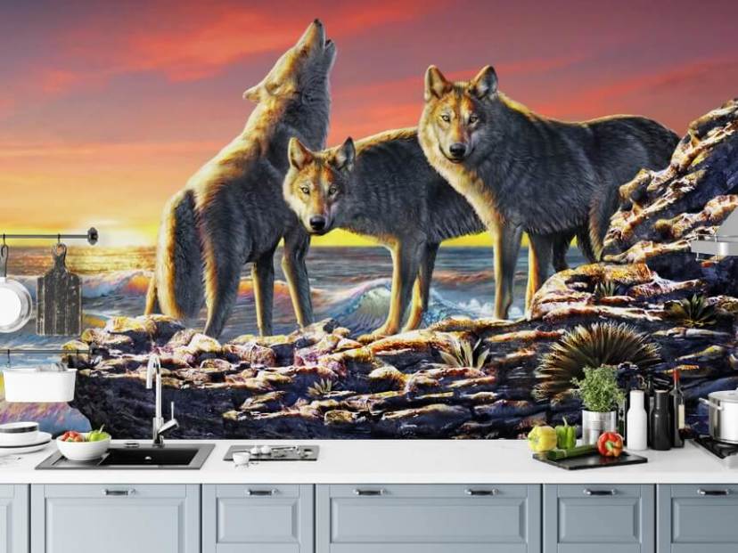 Wallpaper Wolves Animals Wildlife ZooAmerica Animal Of The Month Is