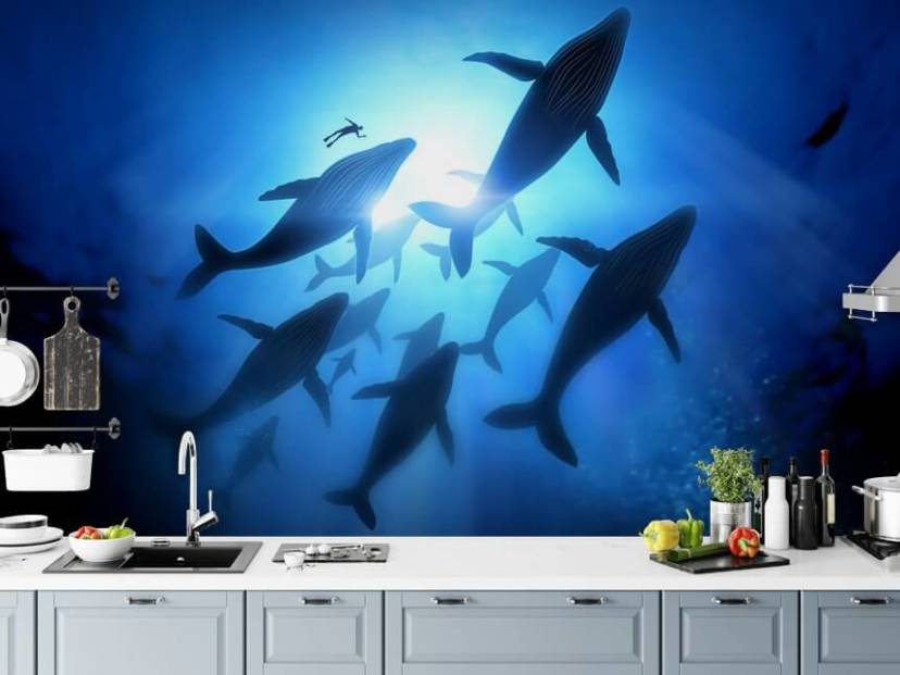 Tapeten-Wandbilder mit Walen | Wallsauce DE