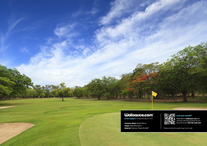 Golf Course Wall Mural | Wallsauce US