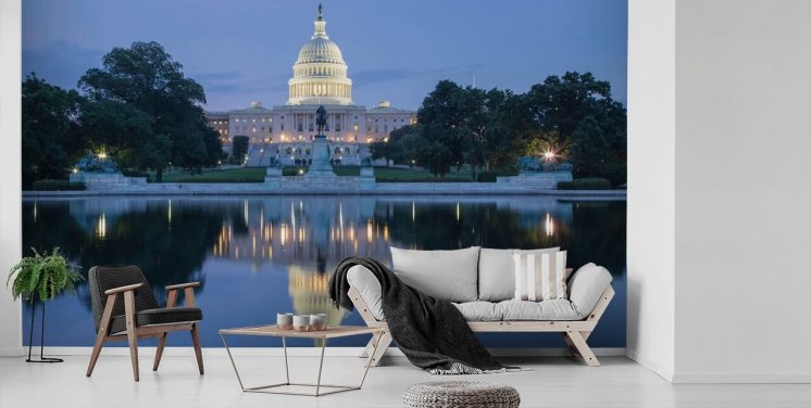 Washington DC Wallpaper & Wall Murals | Wallsauce US