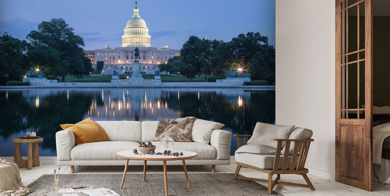 Washington D.C. - USA Capitol Building Mural | Wallsauce AU