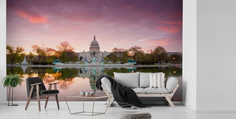 Washington DC Wallpaper & Wall Murals | Wallsauce US