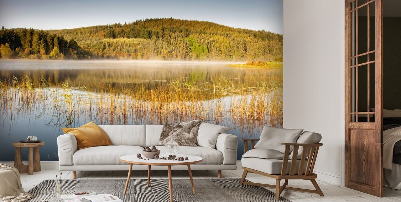 Morning Light and Mist | Wallsauce US