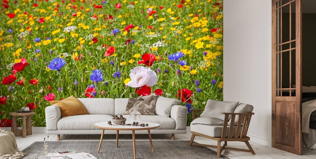 Single White Poppy | Wallsauce US