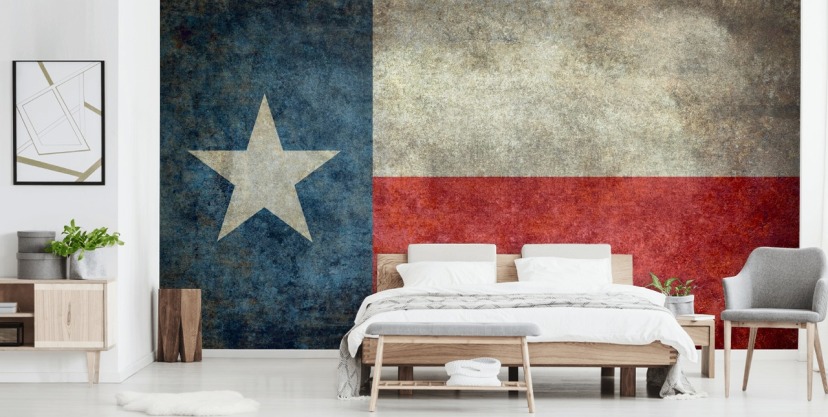 Flag Wallpaper & Flag Wall Murals | Wallsauce US