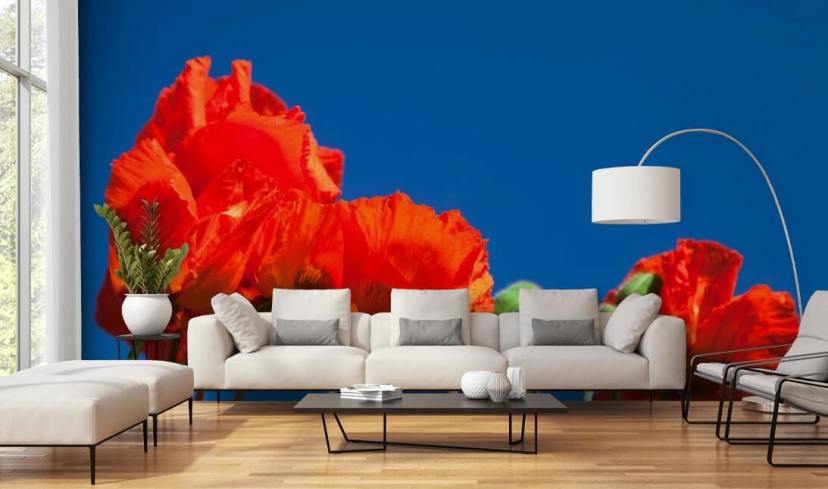 Phil McMenemy Photography Wall Murals | Wallsauce UK