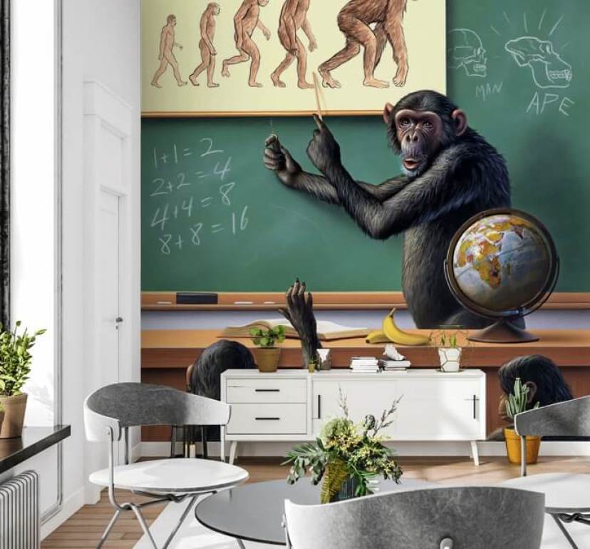 Monkey Wallpaper | Wallsauce US