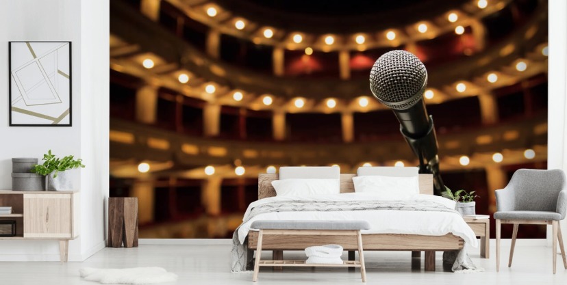 Performing Arts Wallpaper & Wall Murals | Wallsauce UK