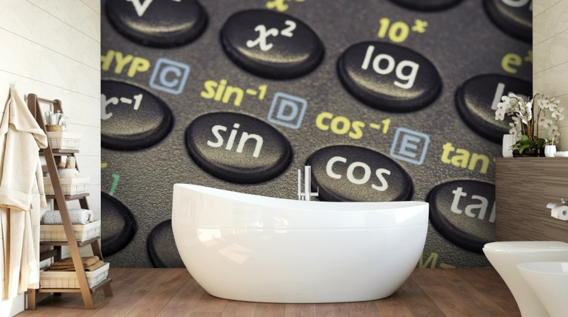 Maths Wall Murals & Wallpaper | Wallsauce US