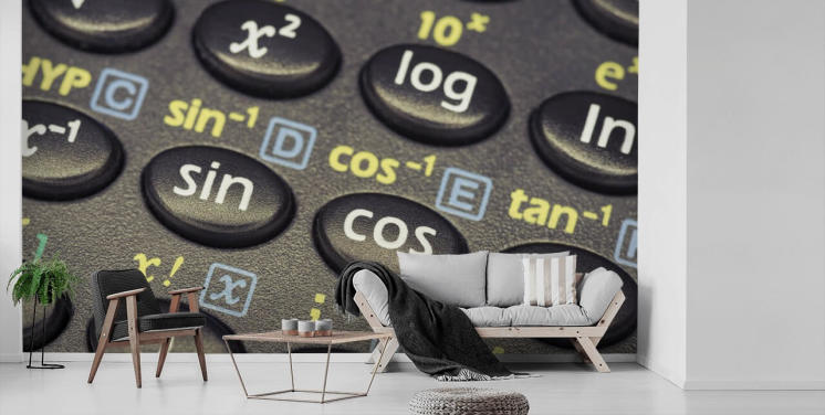 Maths Wall Murals & Wallpaper | Wallsauce US