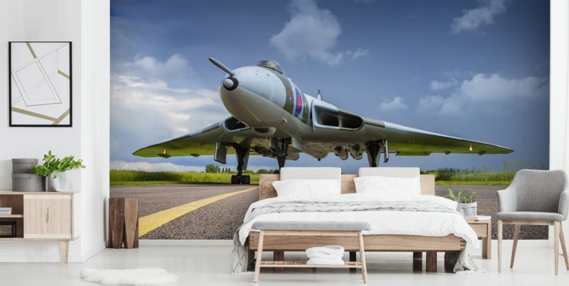 Darren Harbar Aviation Wallpaper Murals | Wallsauce US