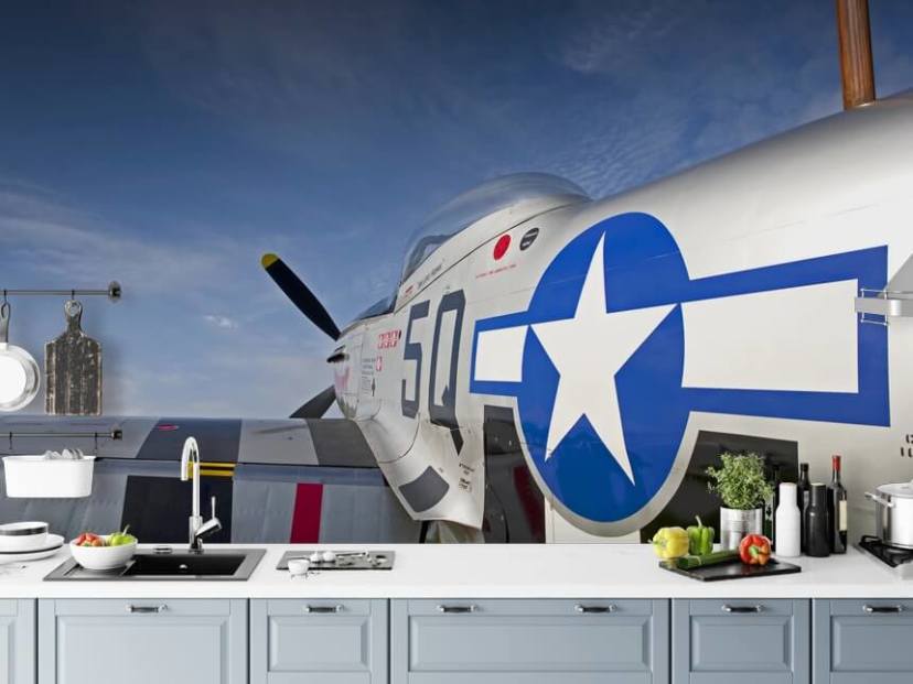 Darren Harbar Aviation Wallpaper Murals | Wallsauce US