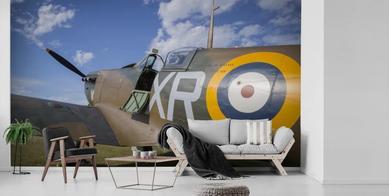 Darren Harbar Aviation Wallpaper Murals | Wallsauce US
