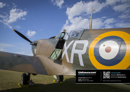 Supermarine Spitfire up close Wall Mural | Wallsauce US