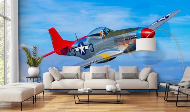 Airplane Wallpaper & Aircraft Wall Murals | Wallsauce US
