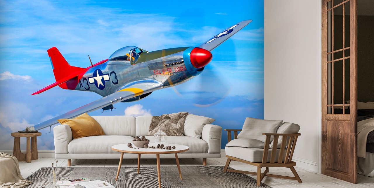 American Mustang above the Clouds Wall Mural | Wallsauce US