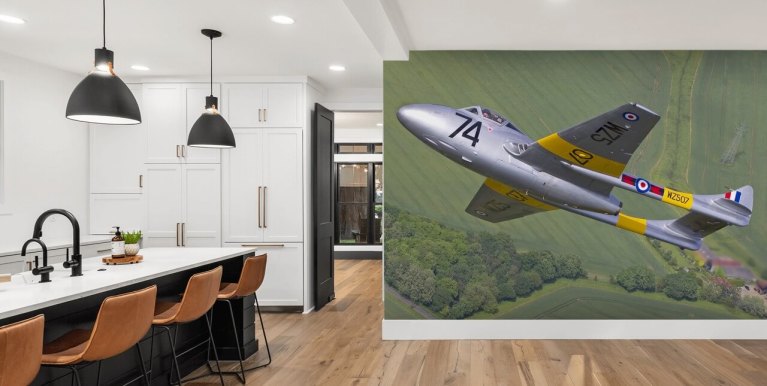 Darren Harbar Aviation Wallpaper Murals | Wallsauce US