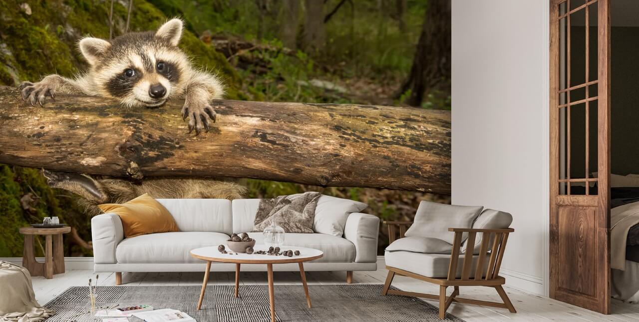 Baby wasbeer behang muurschildering | Wallsauce NL